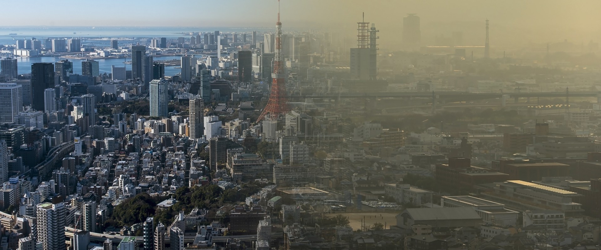 The Impact of the Clean Air Act on the Economy and Public Health